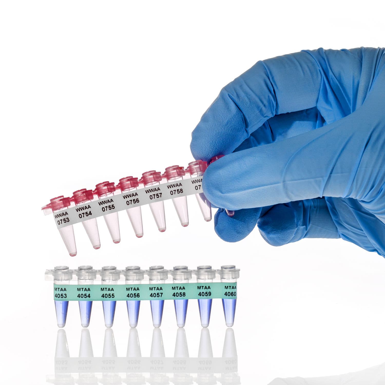 Etikett für PCR Röhrchen - PCR-TAG™ - GA International - hitzebeständig ...