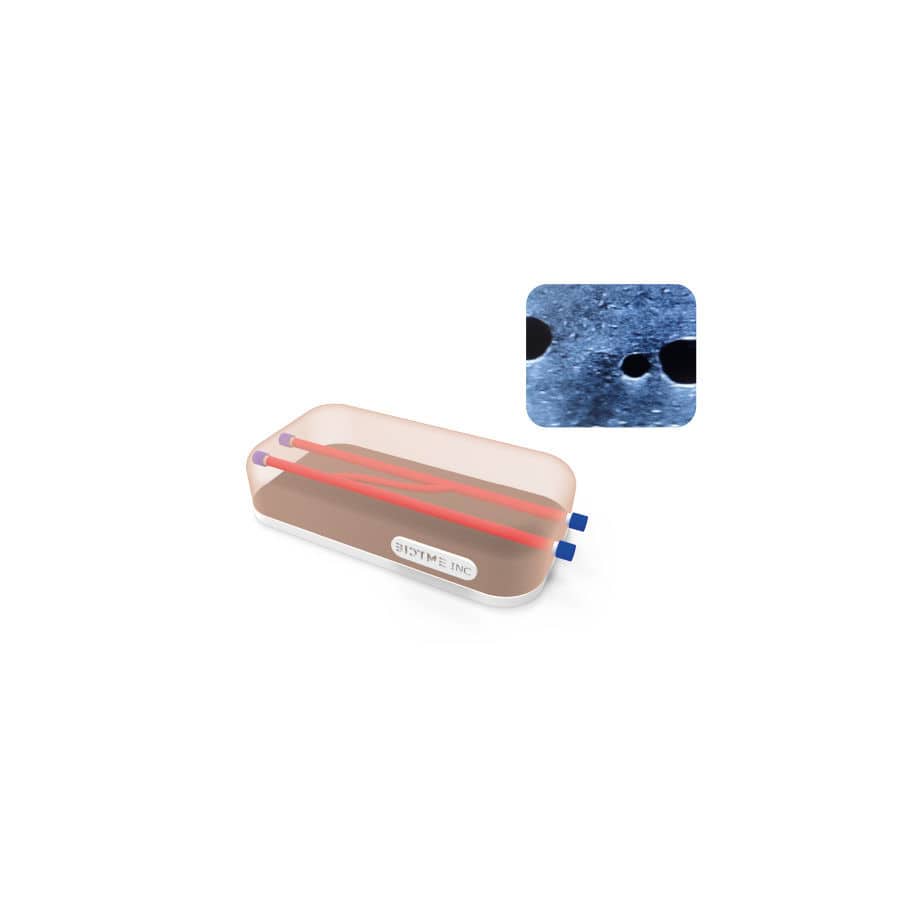 Simulator für Punktionen - BIOT-Minc - Biotme - für ...