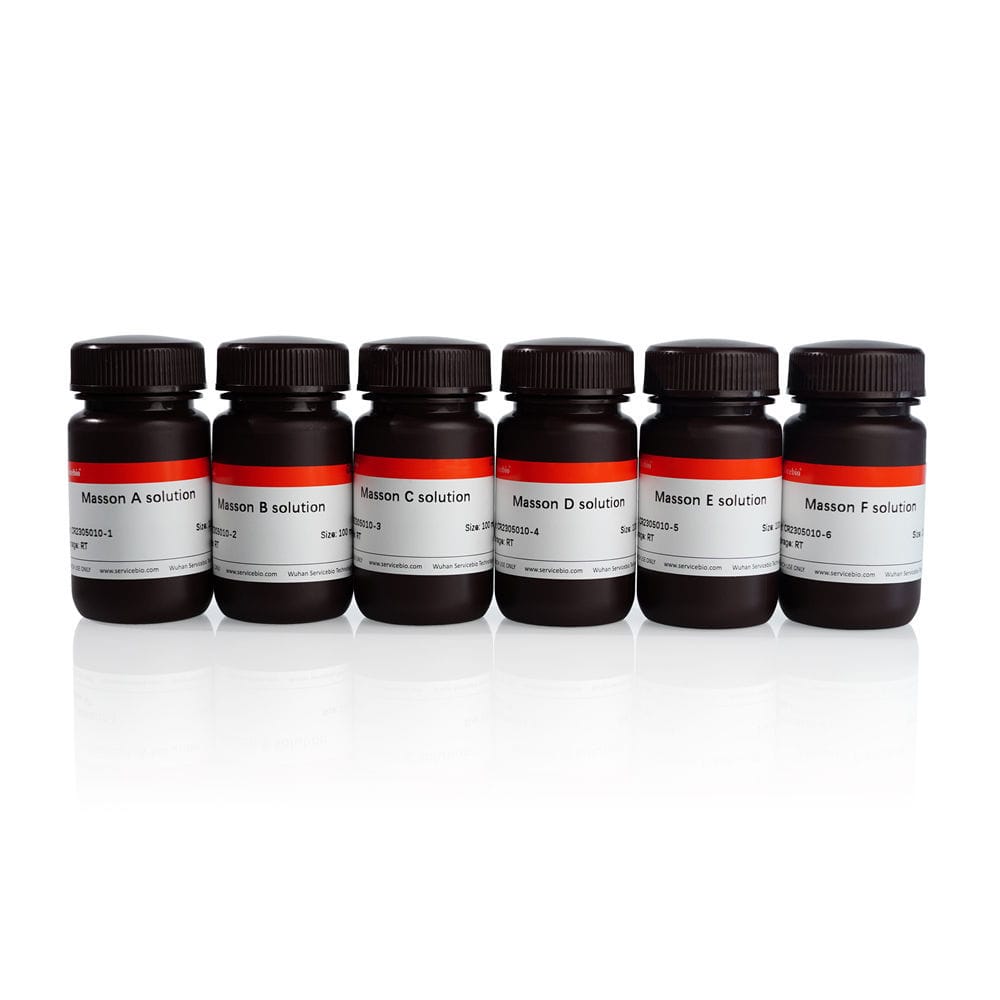 Färbelösungs-Reagenzkit - G1006-20mL - Servicebio - Pathologie