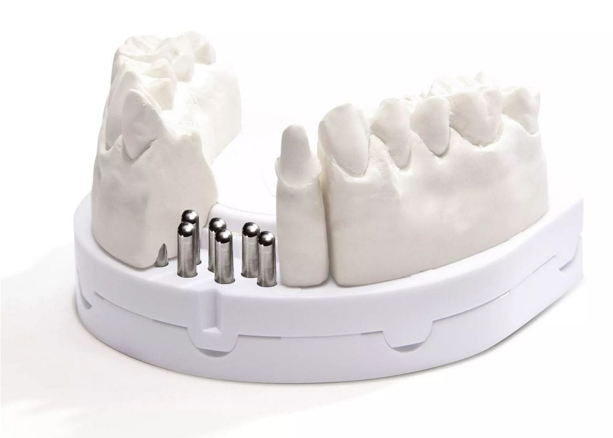 Anatomisches Modell / Gebiss - optibase exclusiv - Dentona AG - für ...