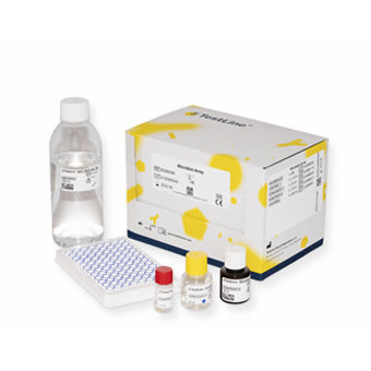 Serologie-Testkit - YGMA048 - TestLine Clinical Diagnostics - Yersinia ...