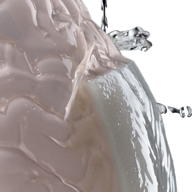 Dura Mater Substitutions-Prothese / xenograft - DuraGen® Secure ...