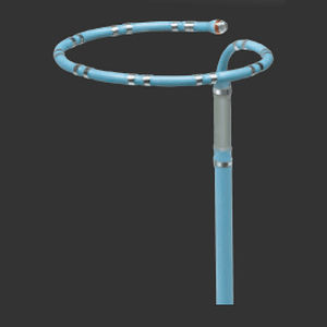 Diagnosekatheter - CARTO® LASSO® Eco - Biosense Webster - Mapping / Herz