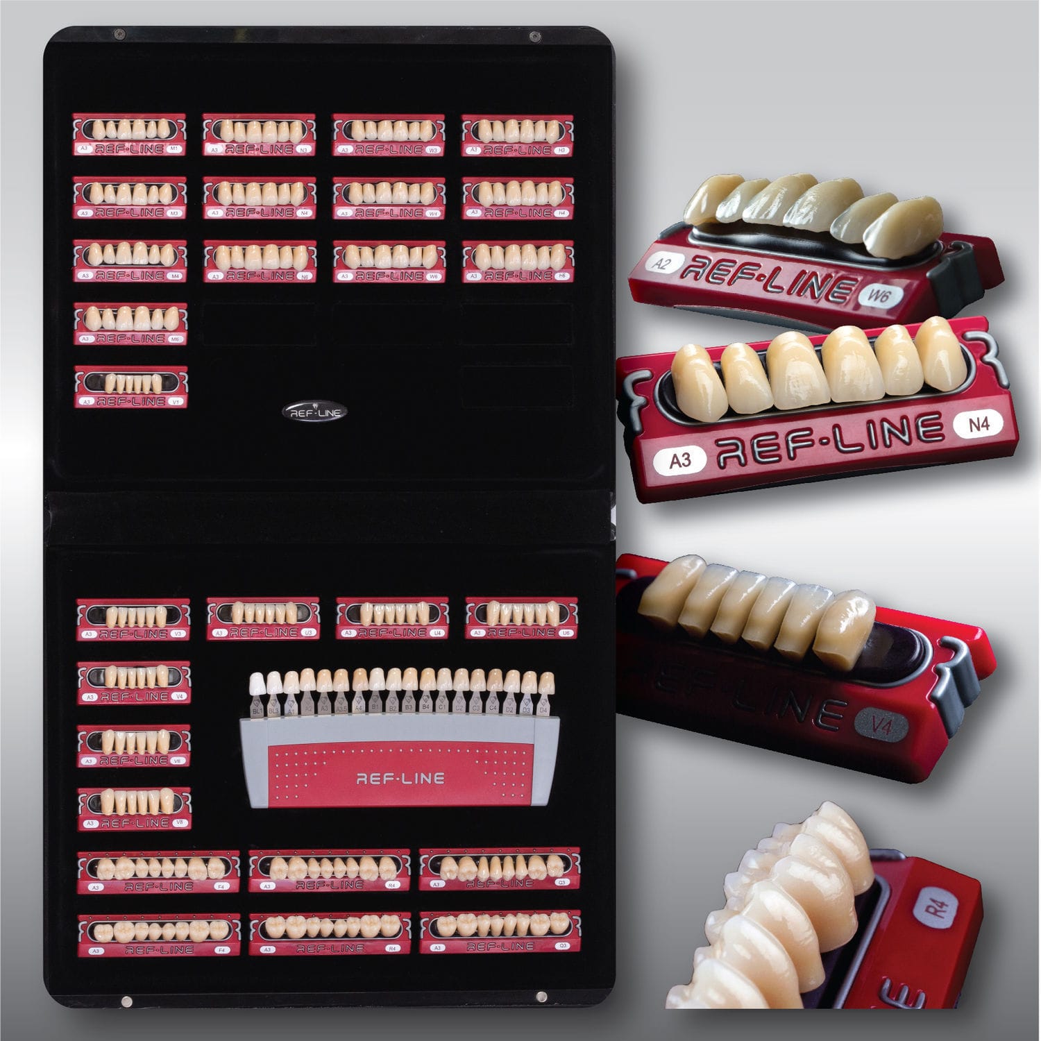 Acrylzahnprothese - REF-LINE multilayer - POLIDENT d.o.o. - für ...