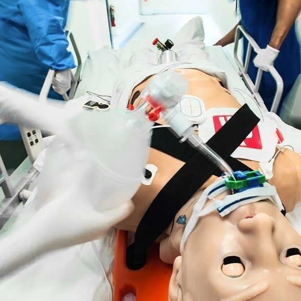 High-Tech-Patientensimulator - HAL® S3201 - Gaumard - EKG / Notfall ...