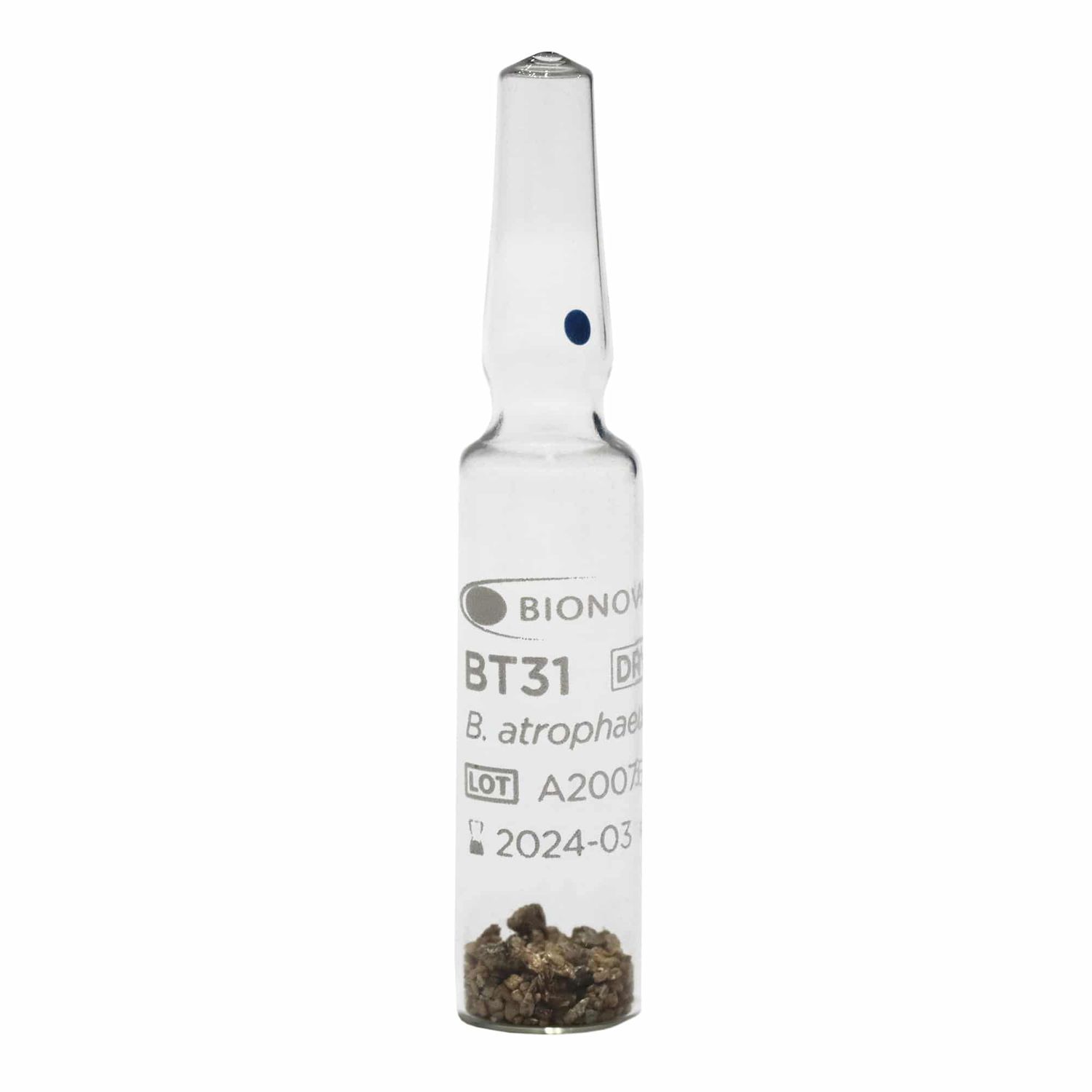 Sterilisations-Bioindikator - BT31 - Terragene SRL - medizinisch