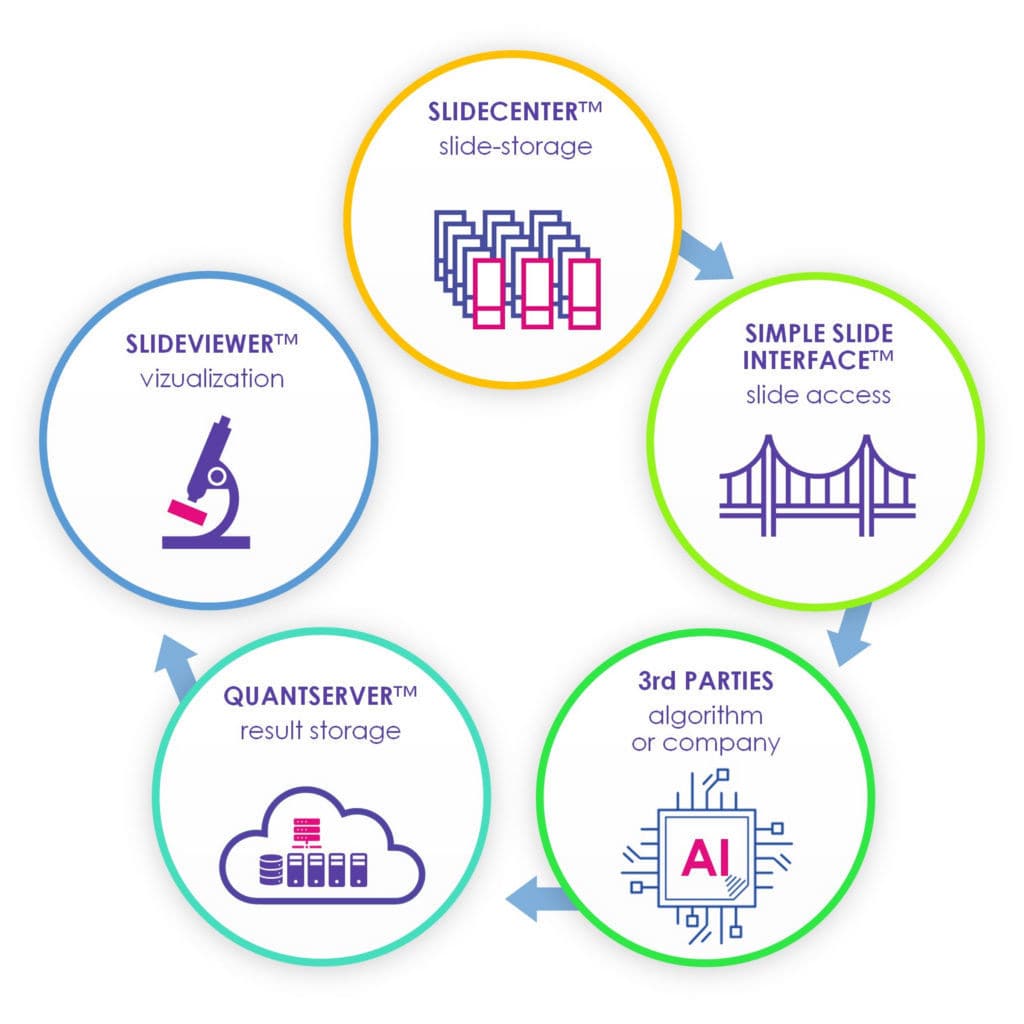 Analysesoftware - SimpleSlideInterface - 3DHISTECH Ltd. - medizinisch / für Forschungszwecke ...