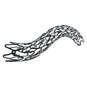 Peripherer Stent - BMS S.E. – Easy Flype - Alvimedica - Femuraarterie ...